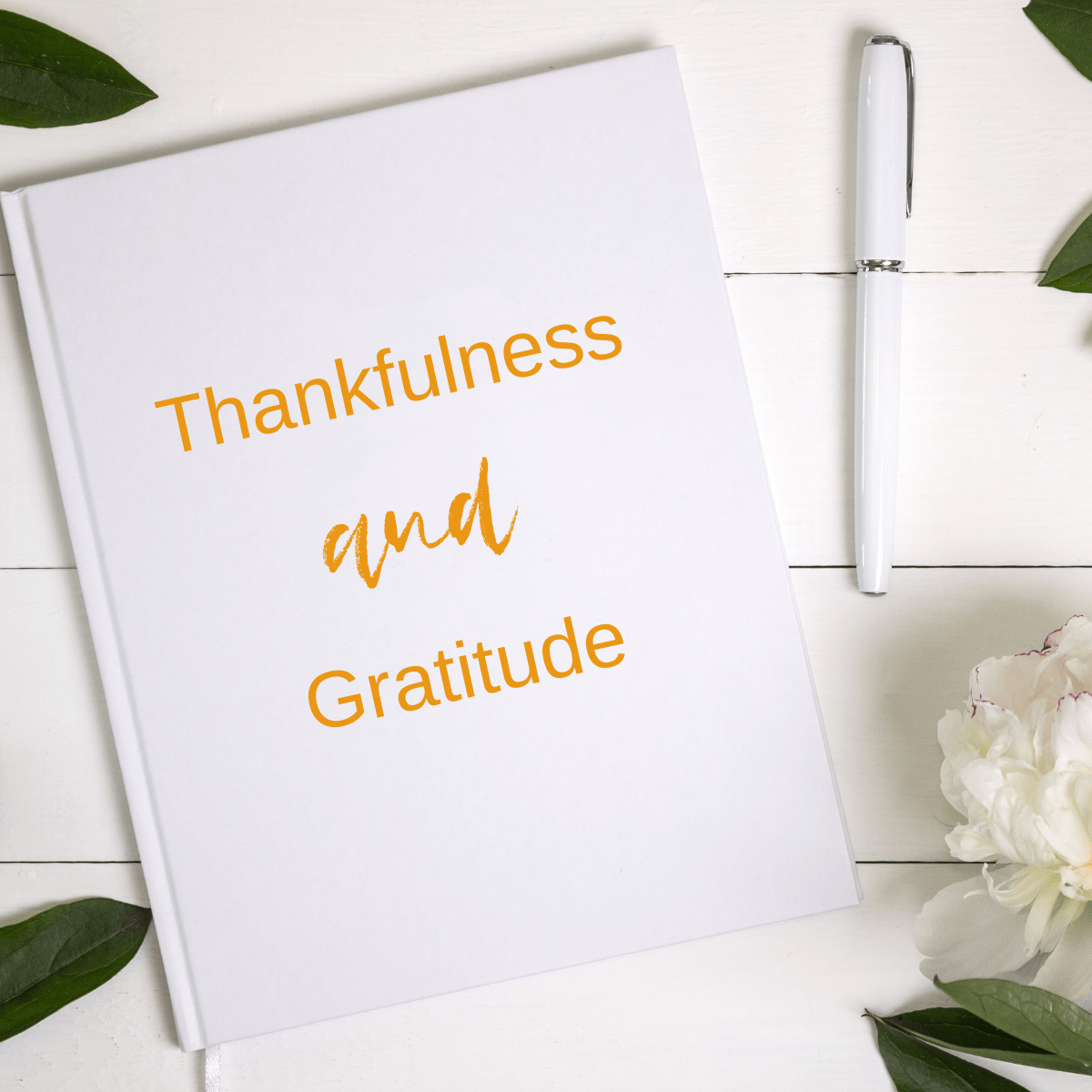Thankfulness / Gratitude