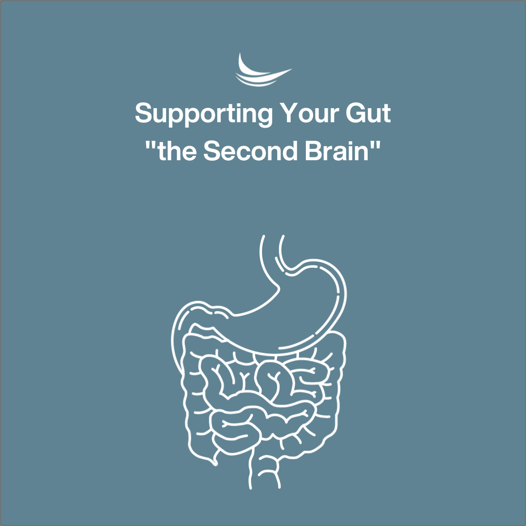 Supporting Your Gut "the Second Brain"
